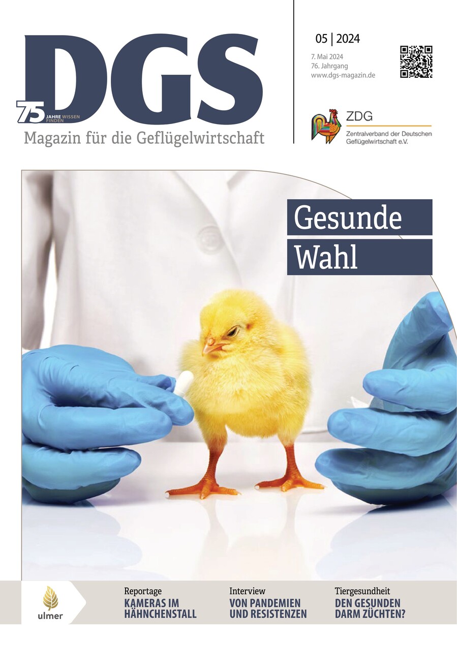 41 Prozent der Verbraucher sind Flexitarier - DGS MAGAZIN