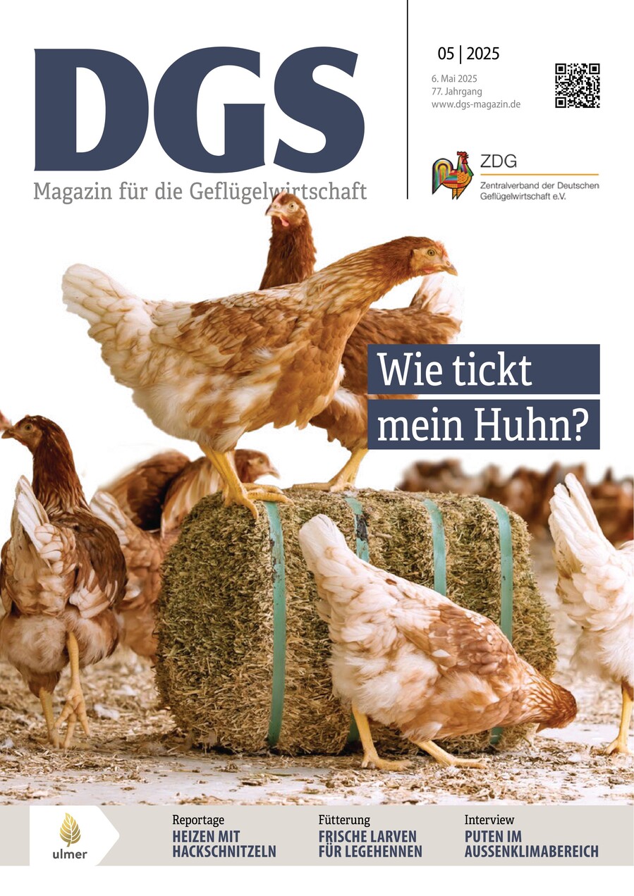 Legehennen: Welche Leistungsmerkmale sind für Sie am wichtigsten? - DGS ...