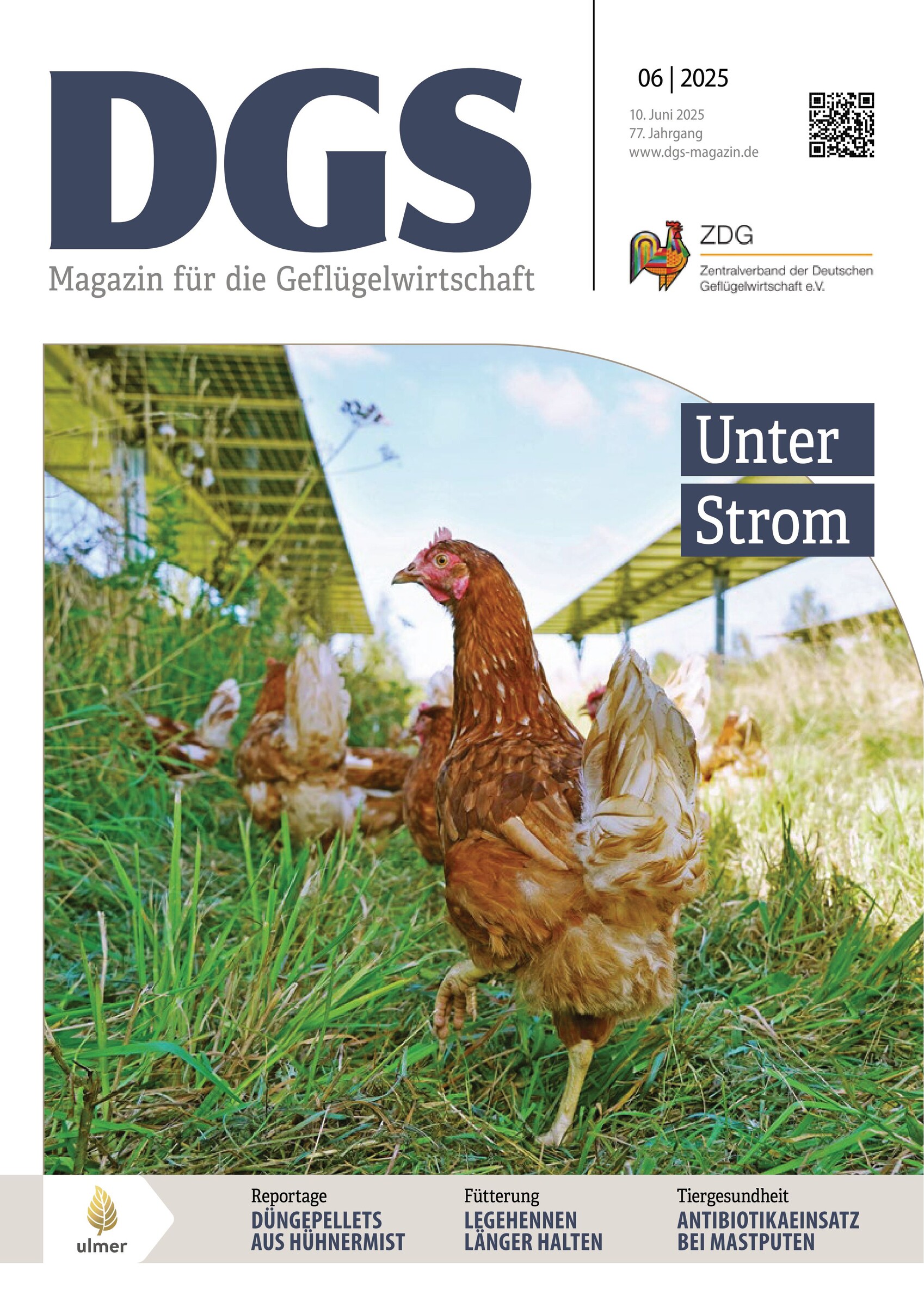 Neue KTBL-Datensammlung zur Betriebsplanung 2024/25 - DGS MAGAZIN