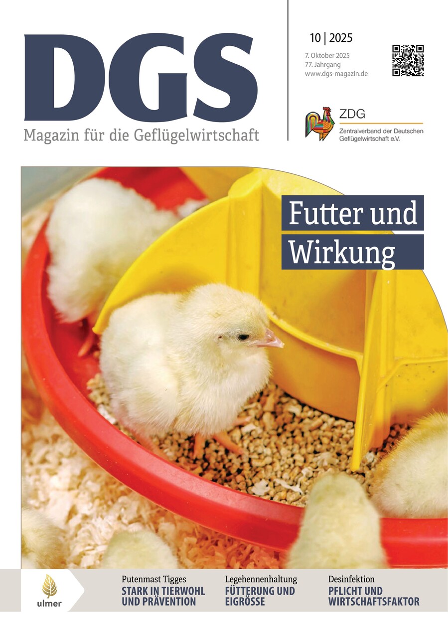 Legehennenhaltung in Deutschland – ein Überblick - DGS MAGAZIN