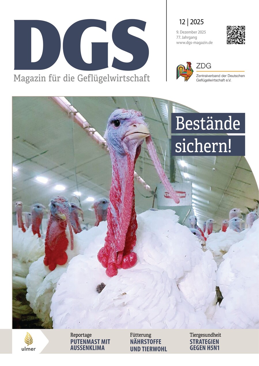 Kritische Abhängigkeit der EU - DGS MAGAZIN