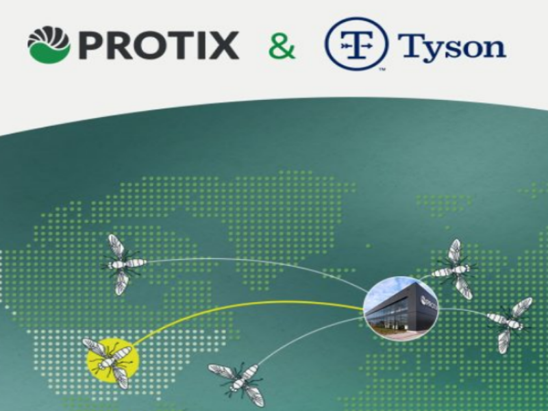 Tyson Foods investiert in Insektenproduktion - DGS MAGAZIN